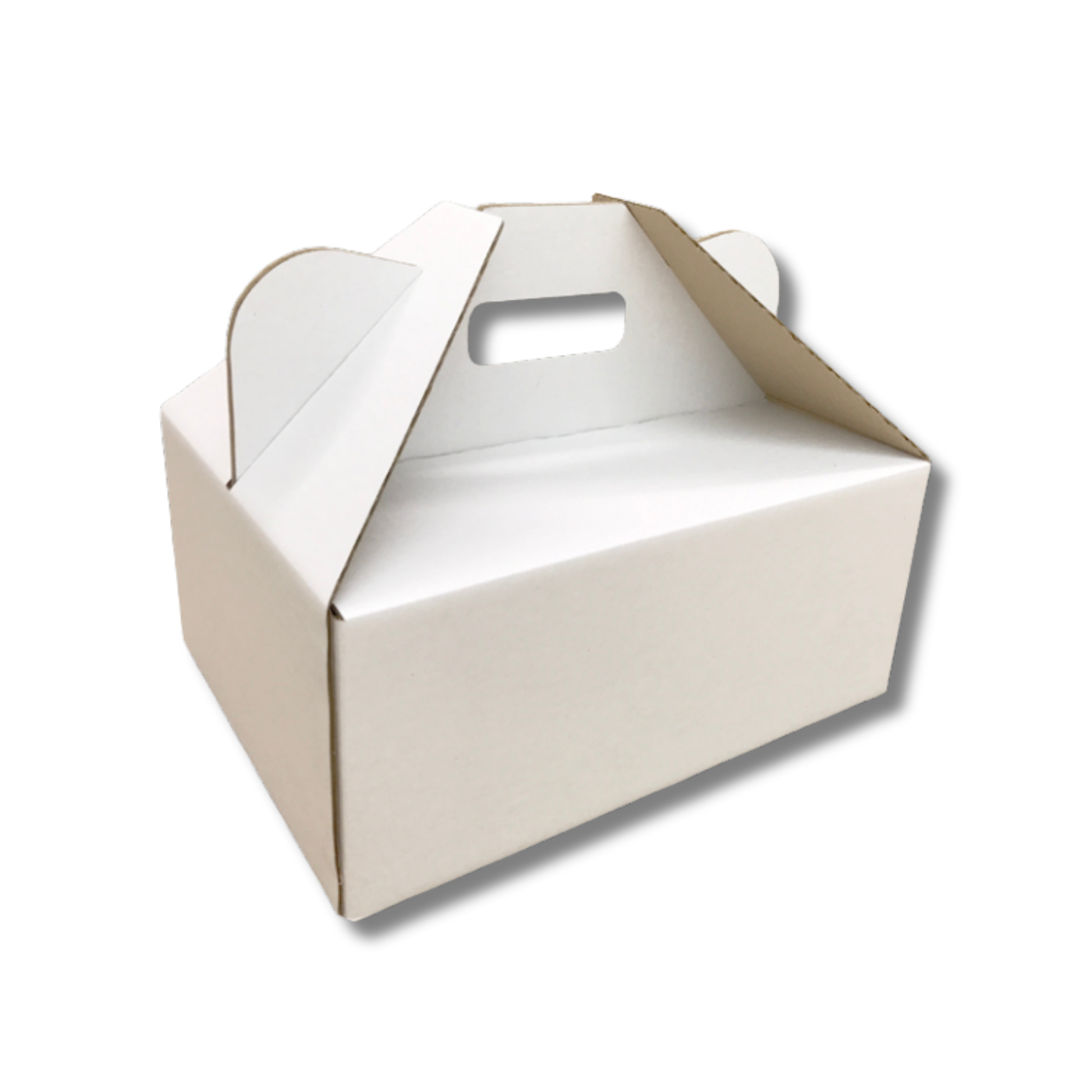 305 x 230 x 130mm Picnic/Gable Box